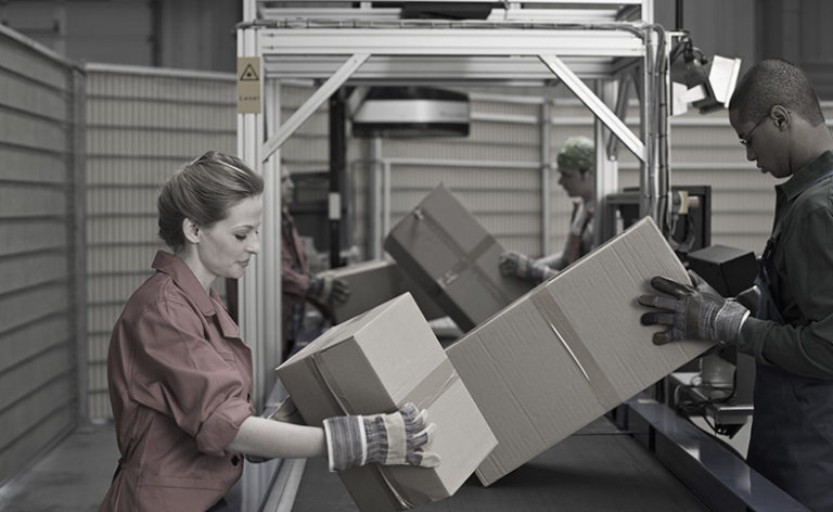 Pool Distribution - American Lumper Services